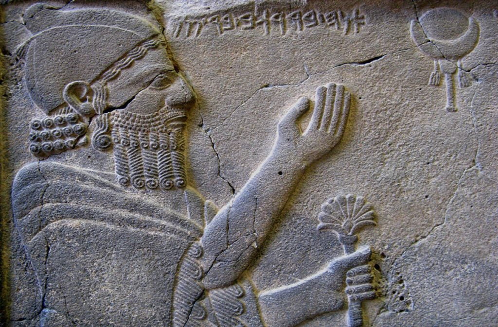 Are beards just a trend – The Golden Spartan